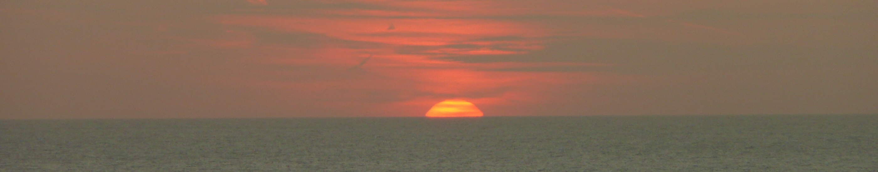 Information about the Focolare Movement